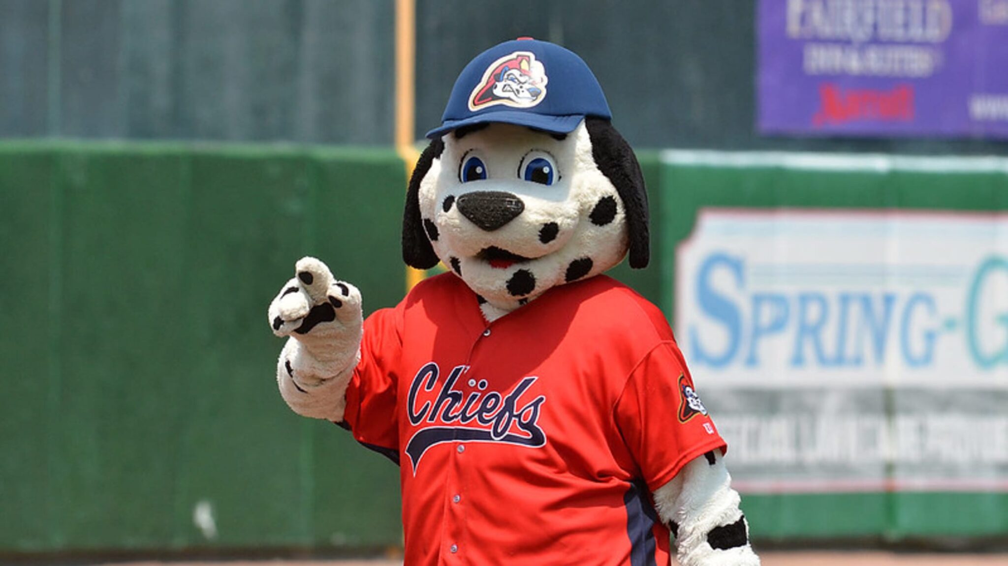 Peoria Chiefs Baseball